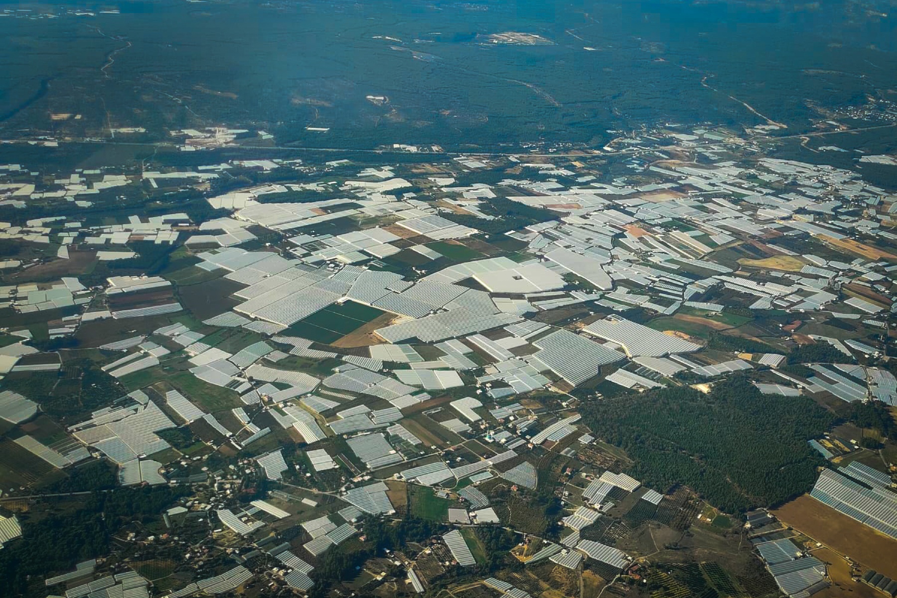 Tomato production underway in a 2.5-hectare hydroponic greenhouse in ...