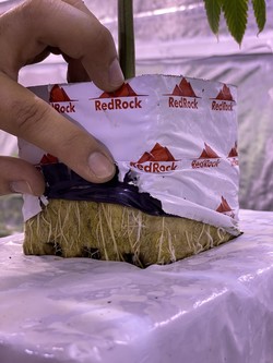 RedRock block introduces new line of premium-grade stonewool grow ...