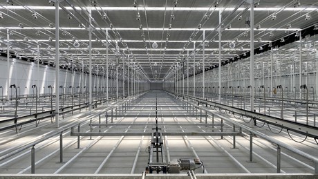 CAN (ON): Leamington-based 1.1M sq.ft. greenhouse receives cultivation ...