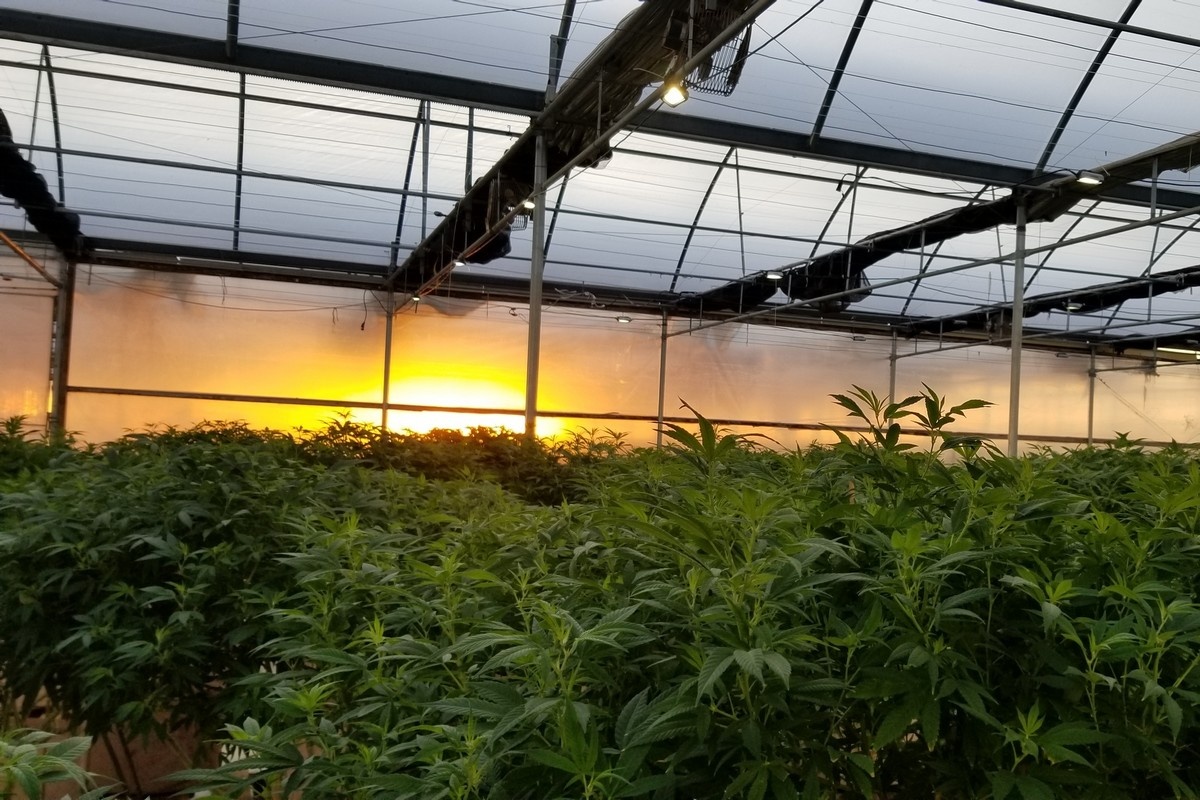 urban-gro merges with sports and media company — but what happened to ...