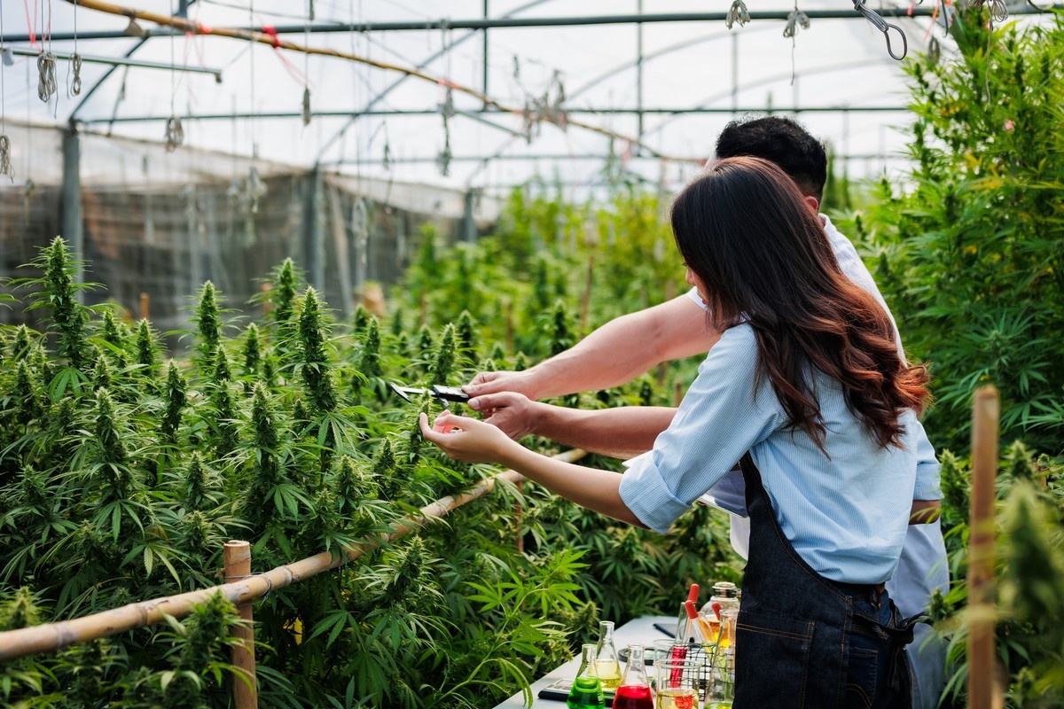 US (OH): Bloom partners with Toys For Tots, food drives over holiday season