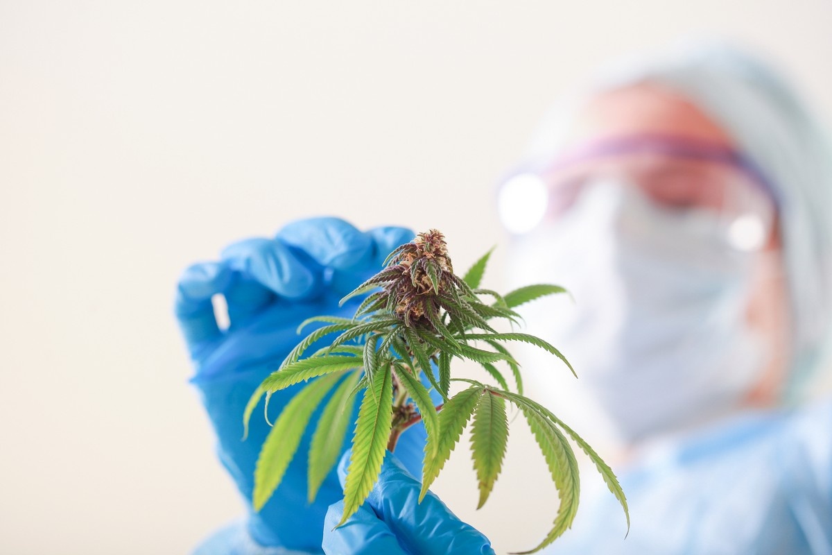 CAN: New Chief Information and Technology Officer appointed by Village ...