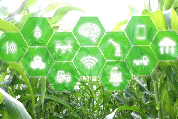 Tanzania launches digital horticulture platform