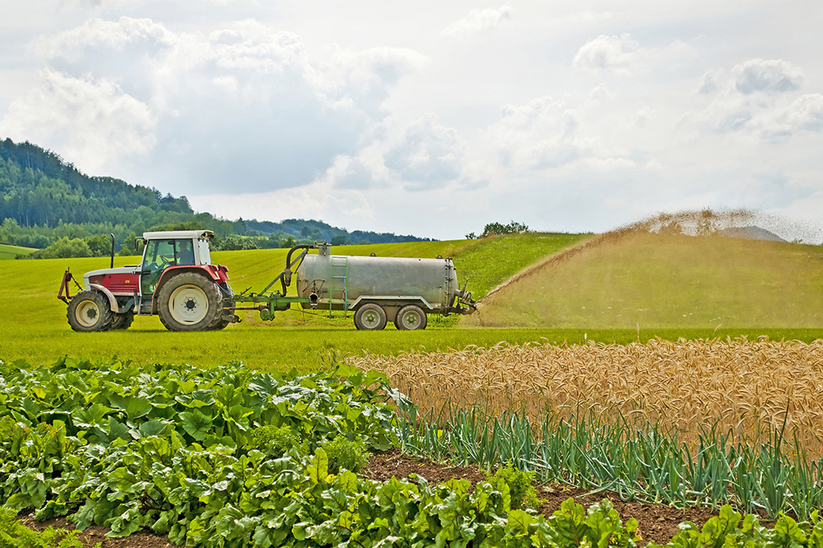 NSW Farmers back first farm buyer support plan