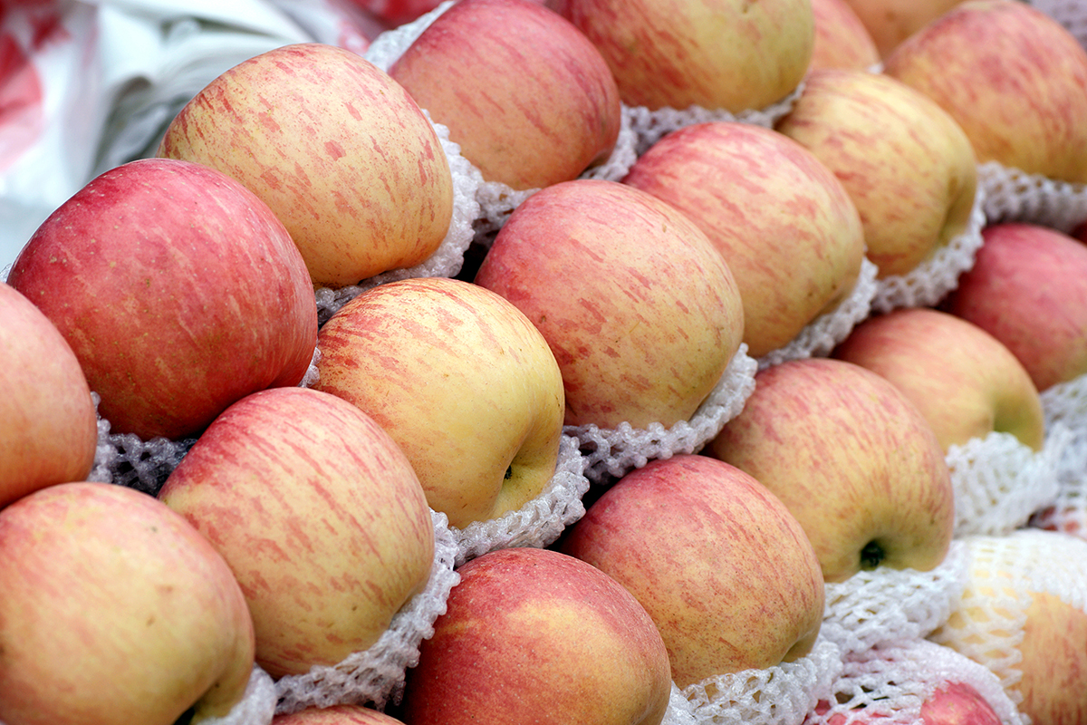 Georgia increases apple exports by 30% in 2025/26 season