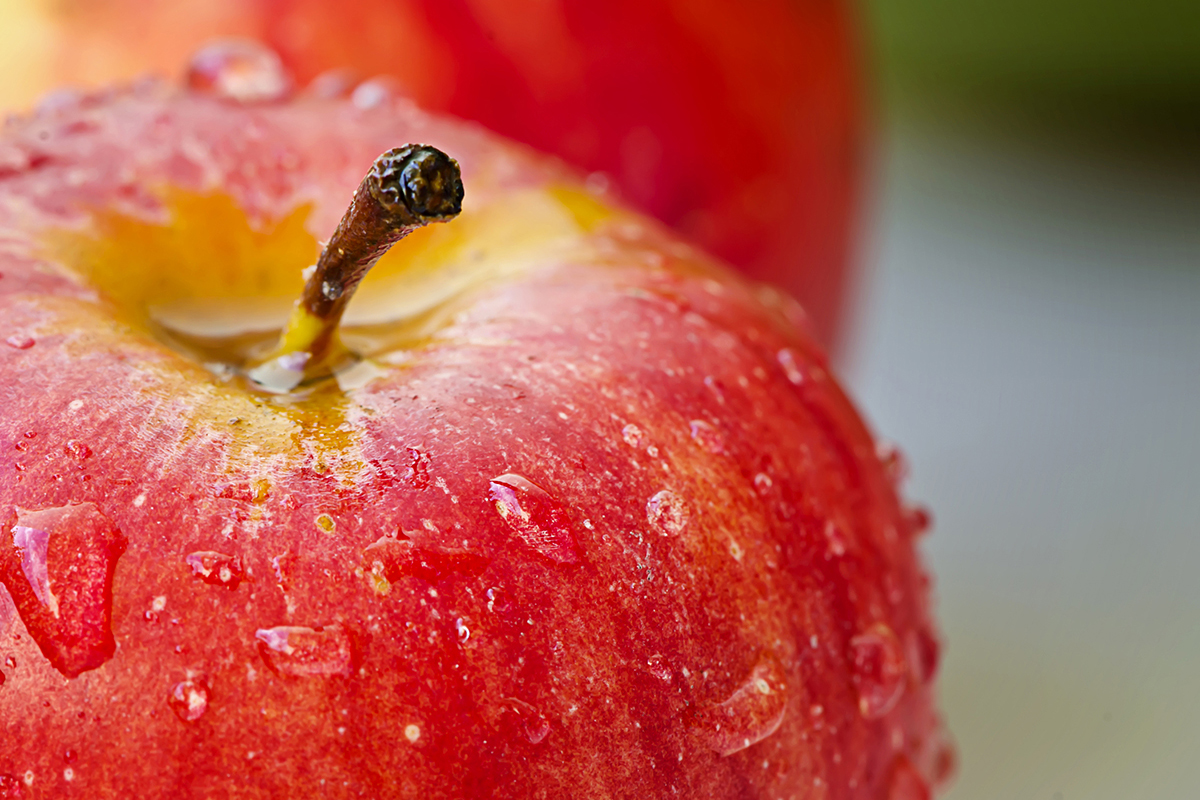 India and New Zealand plan apple industry collaboration