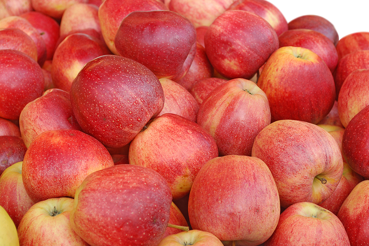 Russia doubles apple imports in June 2024