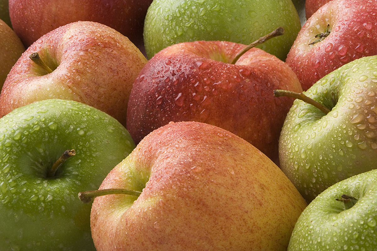 U.S. apple sector opens applications for 2026 NextGen fellowship