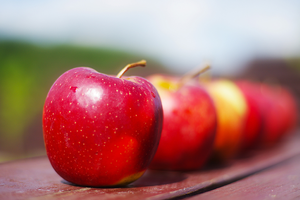 New Zealand apple and pear growers consult on industry levy