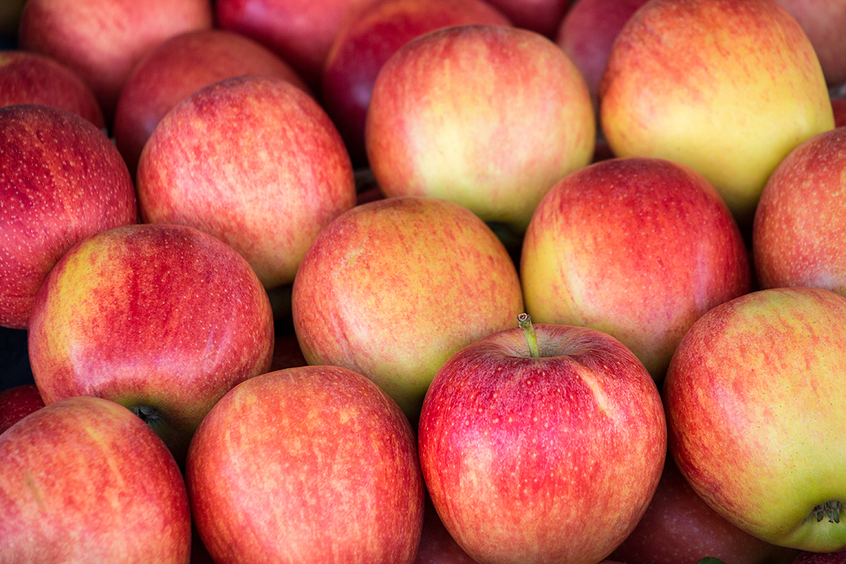 Ukrainian apple producer expands orchards and invests in modern ...