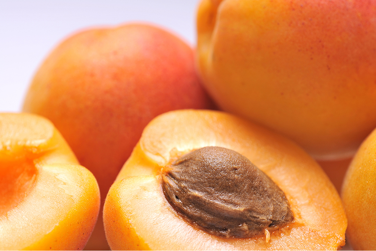 Batken district's apricot farmers report low prices for premium dried ...