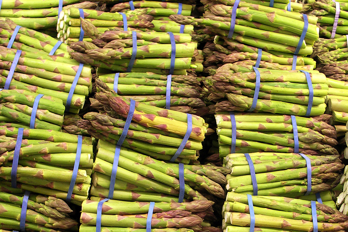 Mexico overtakes Peru in asparagus shipments to the UK
