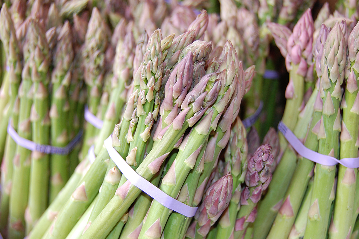 Peruvian asparagus maintains a global presence