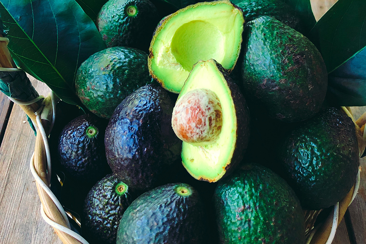 Avocado sales surge in Myanmar with Shan State leading production