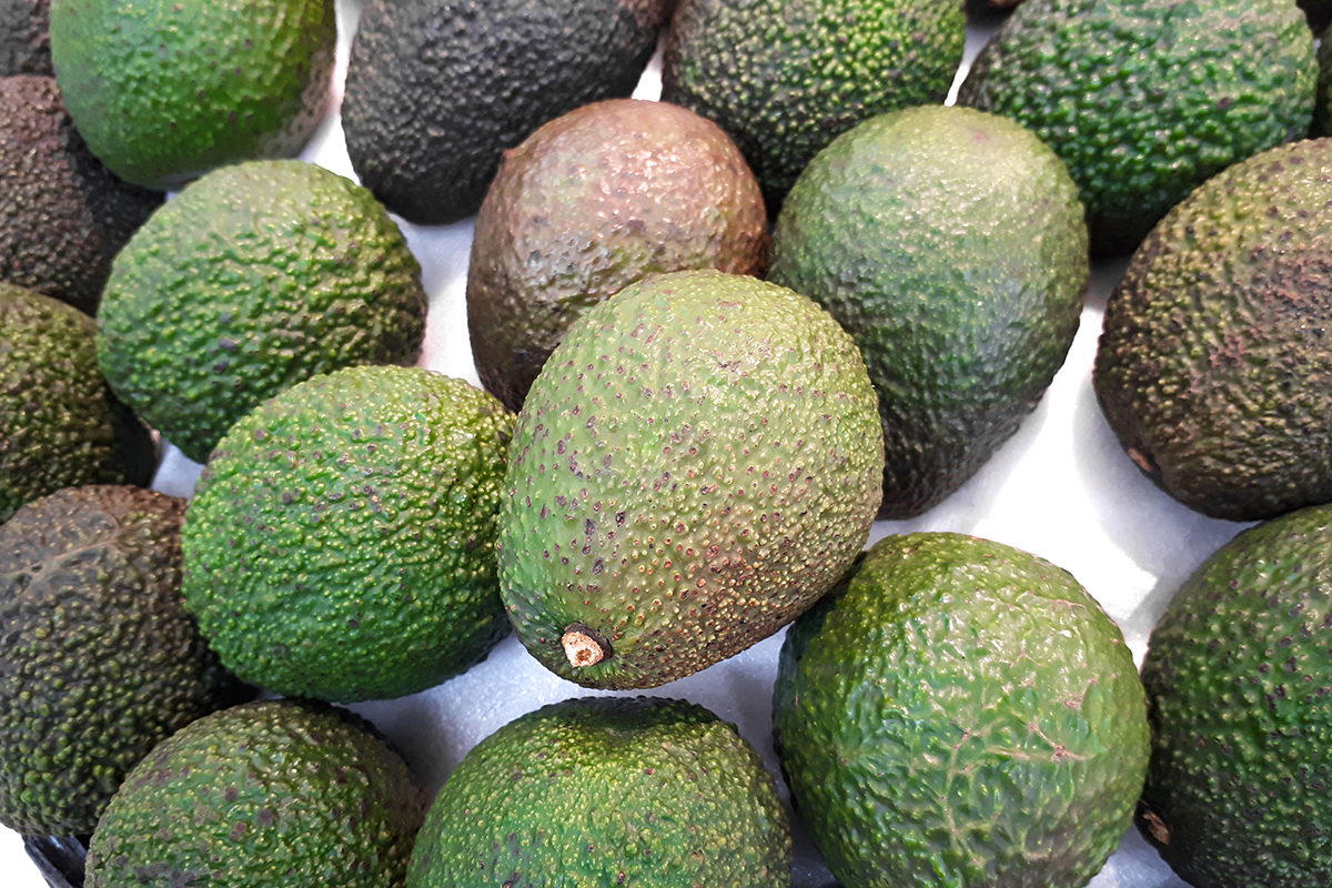 Los precios del aguacate en EE. UU. podrían subir a partir de febrero ...