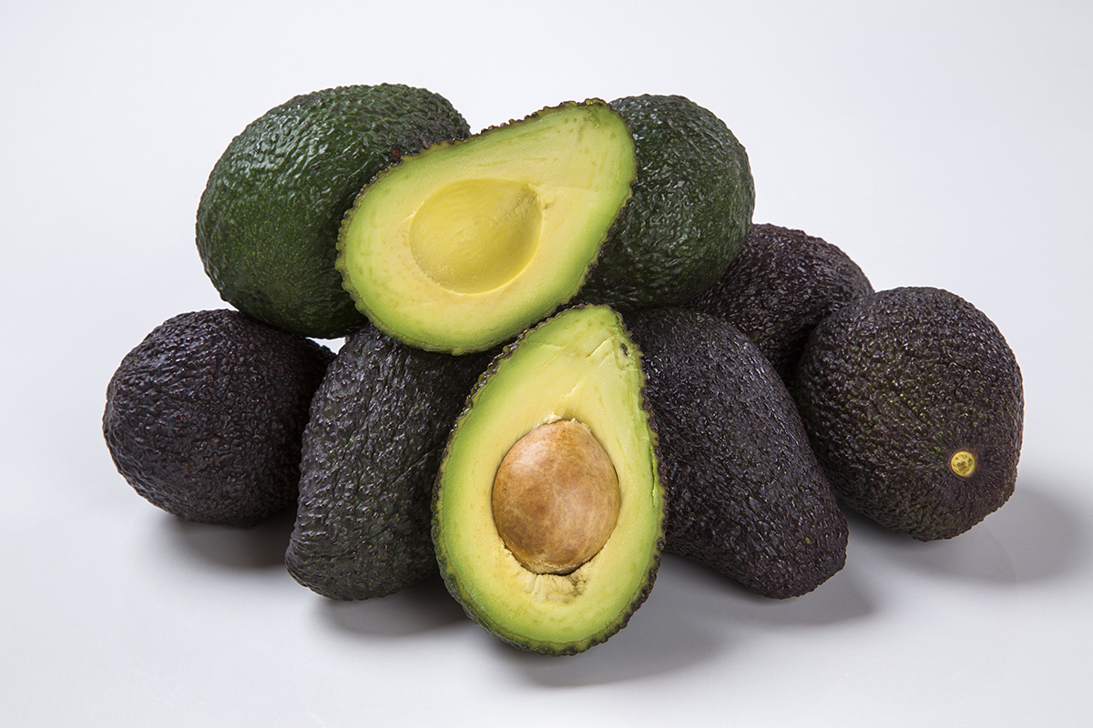 Chile expects to produce 240,000 tons of avocados in the 2025-2026 season