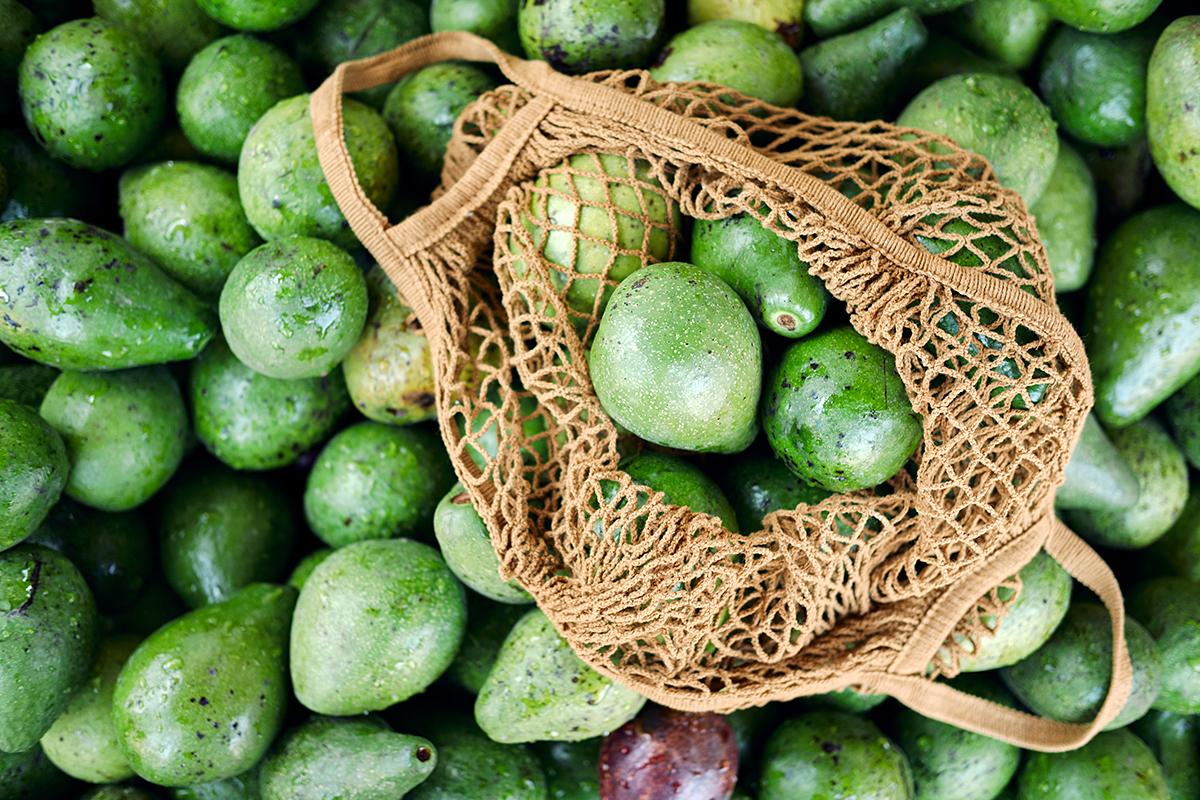 US and Mexico reach agreement on avocado certification