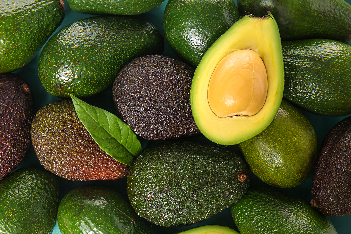 USDA allows earlier shipment of Beta avocados in South Florida