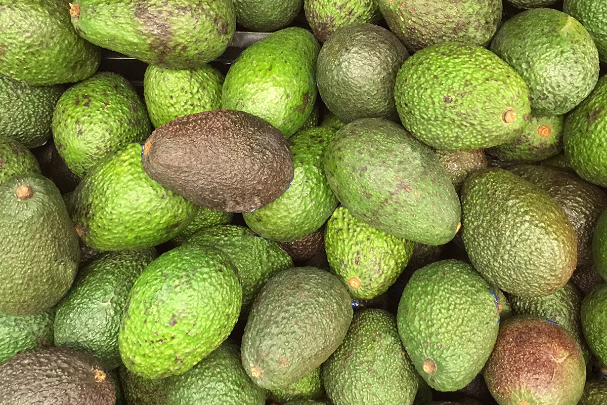 Mexico produces over one-third of the world’s avocados
