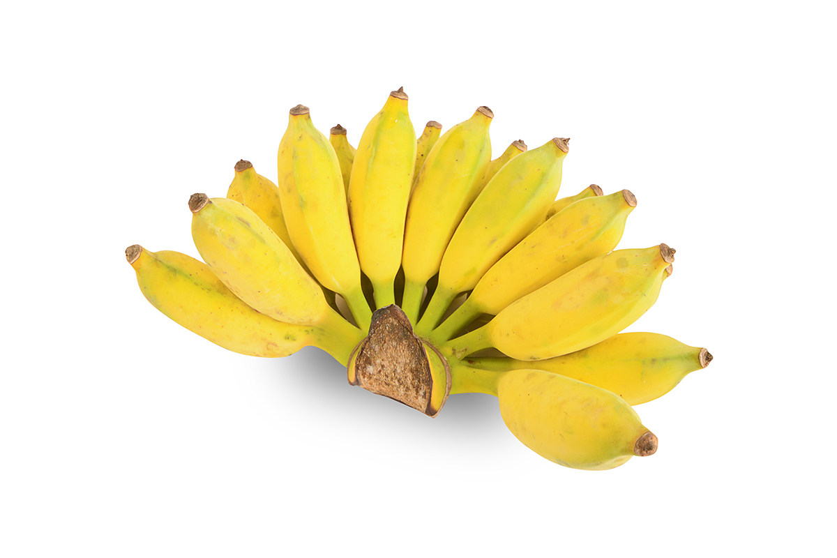 The EU continues to be the main market for Ecuadorian bananas