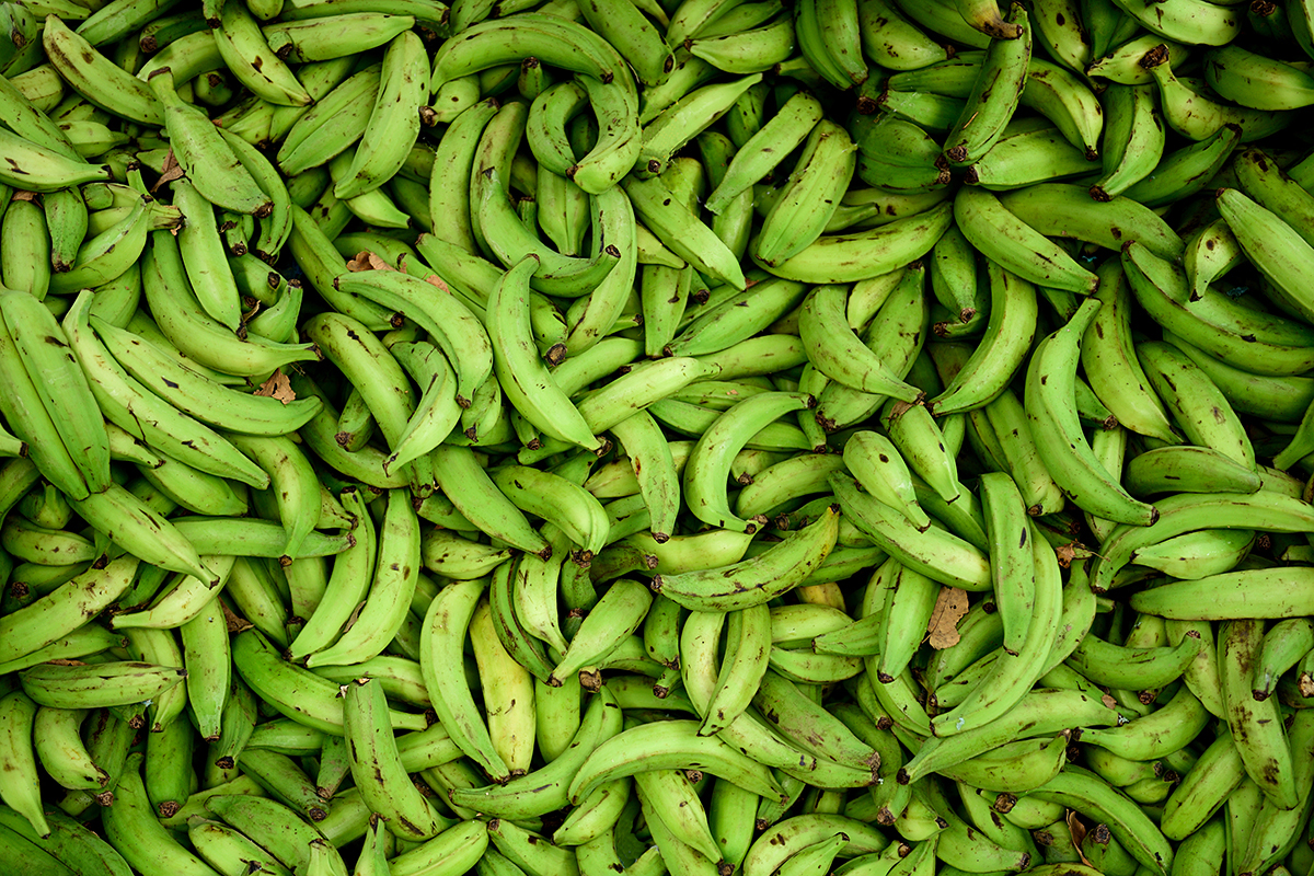 Vertraging Peruaanse bananenexport in september