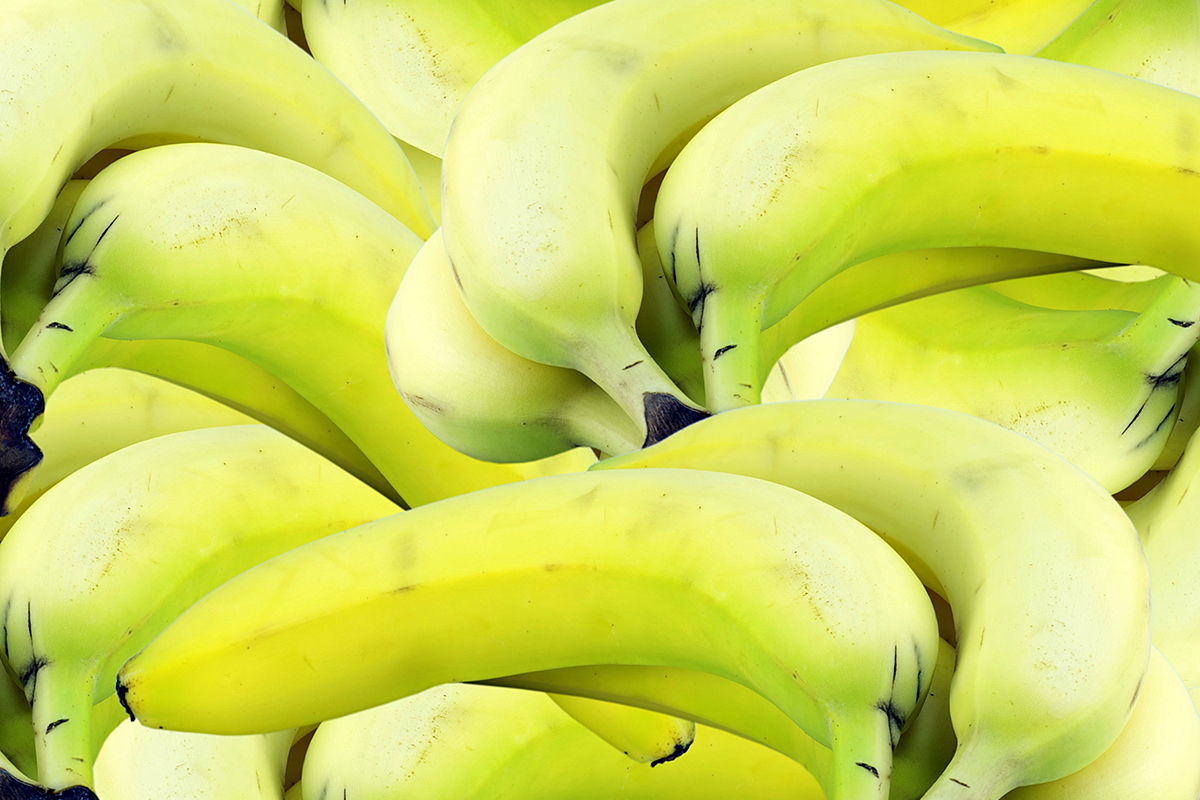 Peruvian banana exports continue to decline