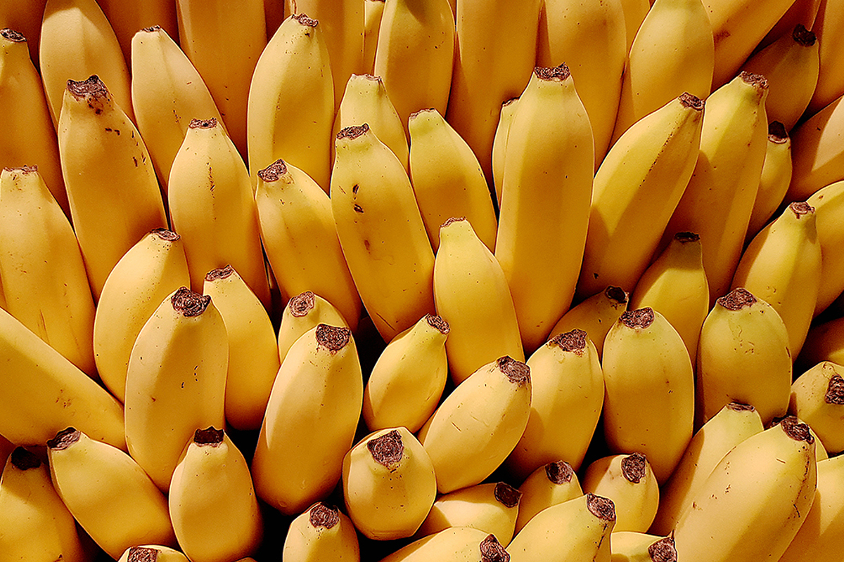Philippines pushes Japan for lower banana tariffs