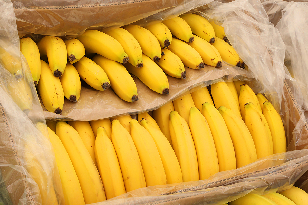 Prezzi all'ingrosso banane: calo in Spagna, aumento in Slovacchia