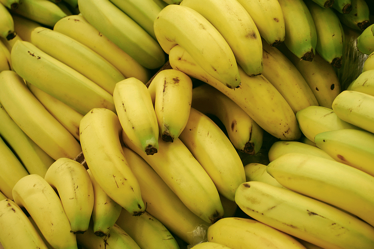 Le Sénégal vise l'autosuffisance en bananes d'ici 2029