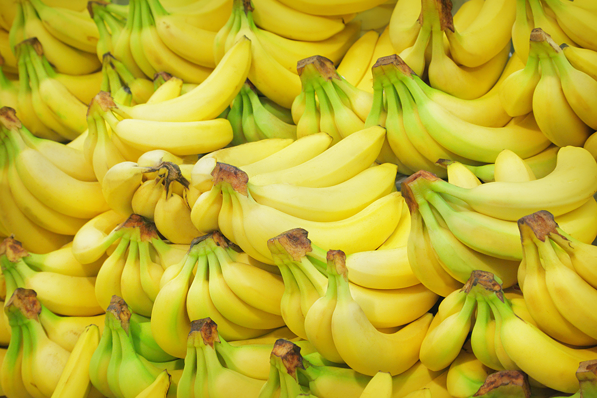 Brazilian banana yields remain below 2025 levels