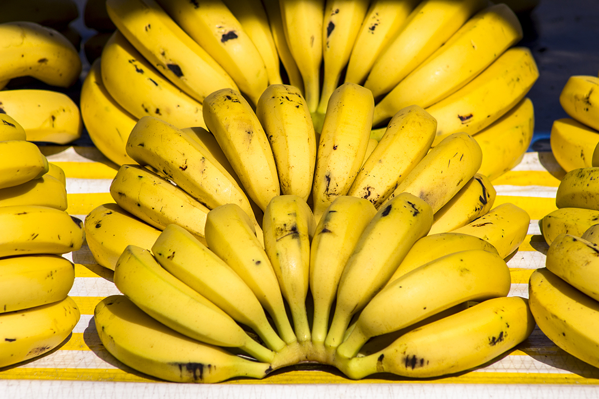 The Philippines maintain strong foothold in Asian banana market despite ...