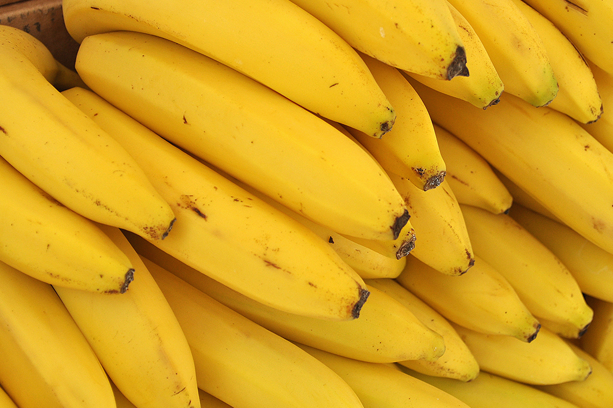Zimbabwean bananas expand presence in South African market