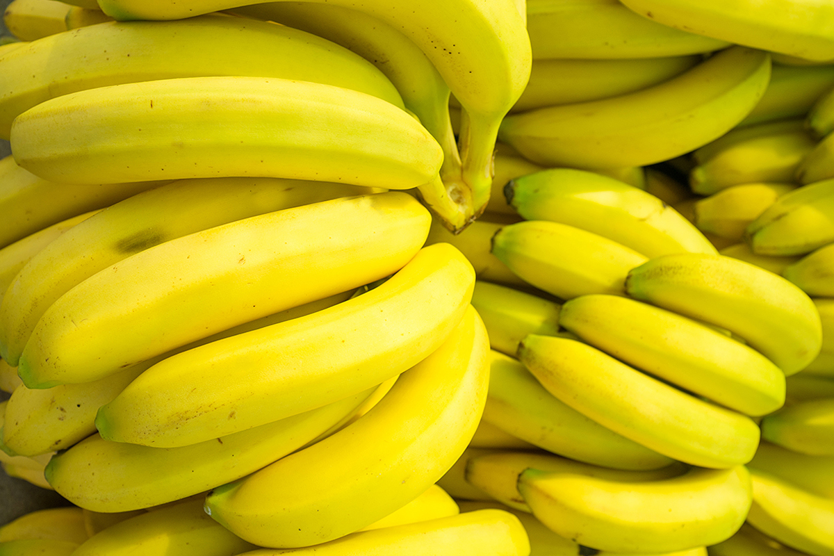 Los precios de importación del banana en el Reino Unido bajan un 16% a ...
