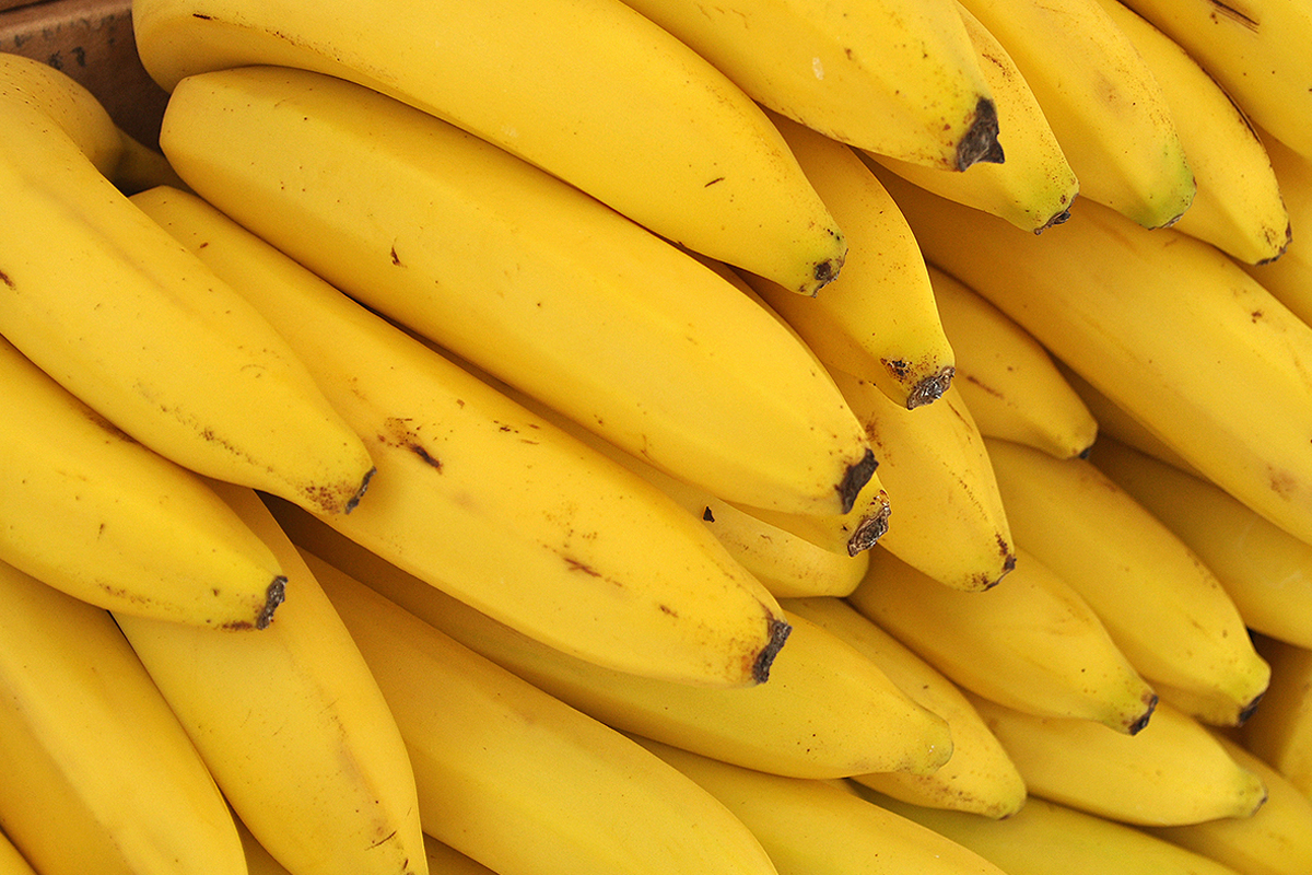Biotechnology firm targets Asia with eco-extracted banana bioactives ...