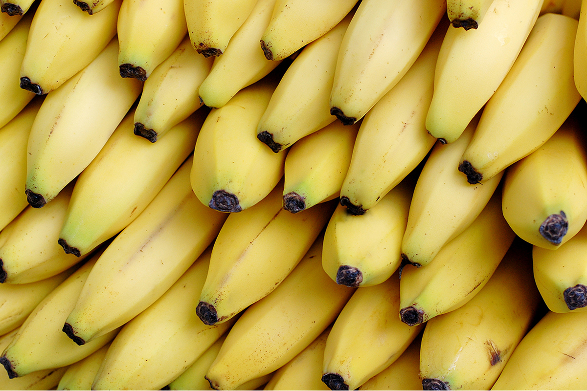 Brazilian banana supply tight due to seasonal dip