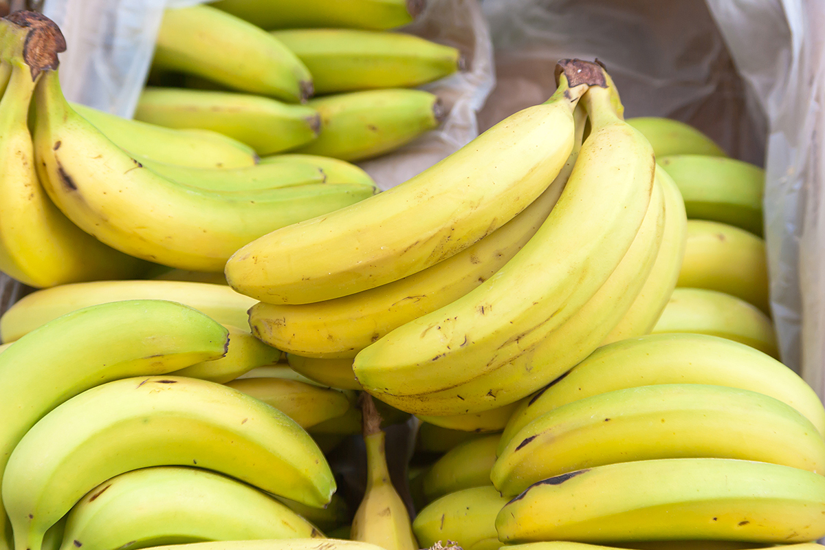 Costa Rican bananas linking plantations to global markets