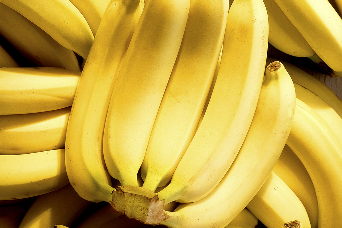 Belize banana exports down $1.4M