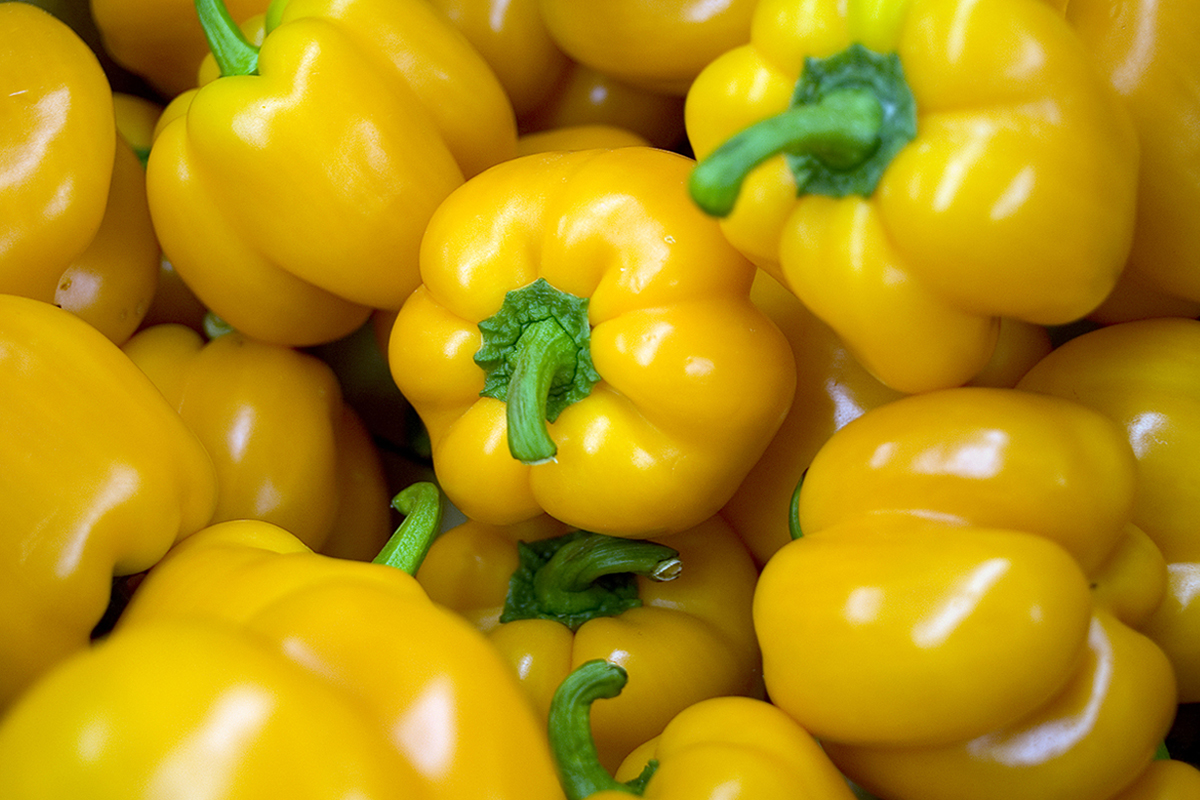 Record average price for California peppers