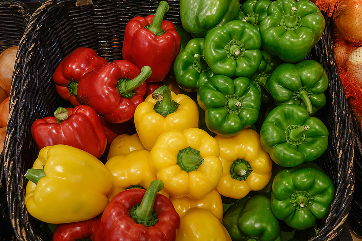 Fuerte caída de los precios del pimiento en Almería en el último mes