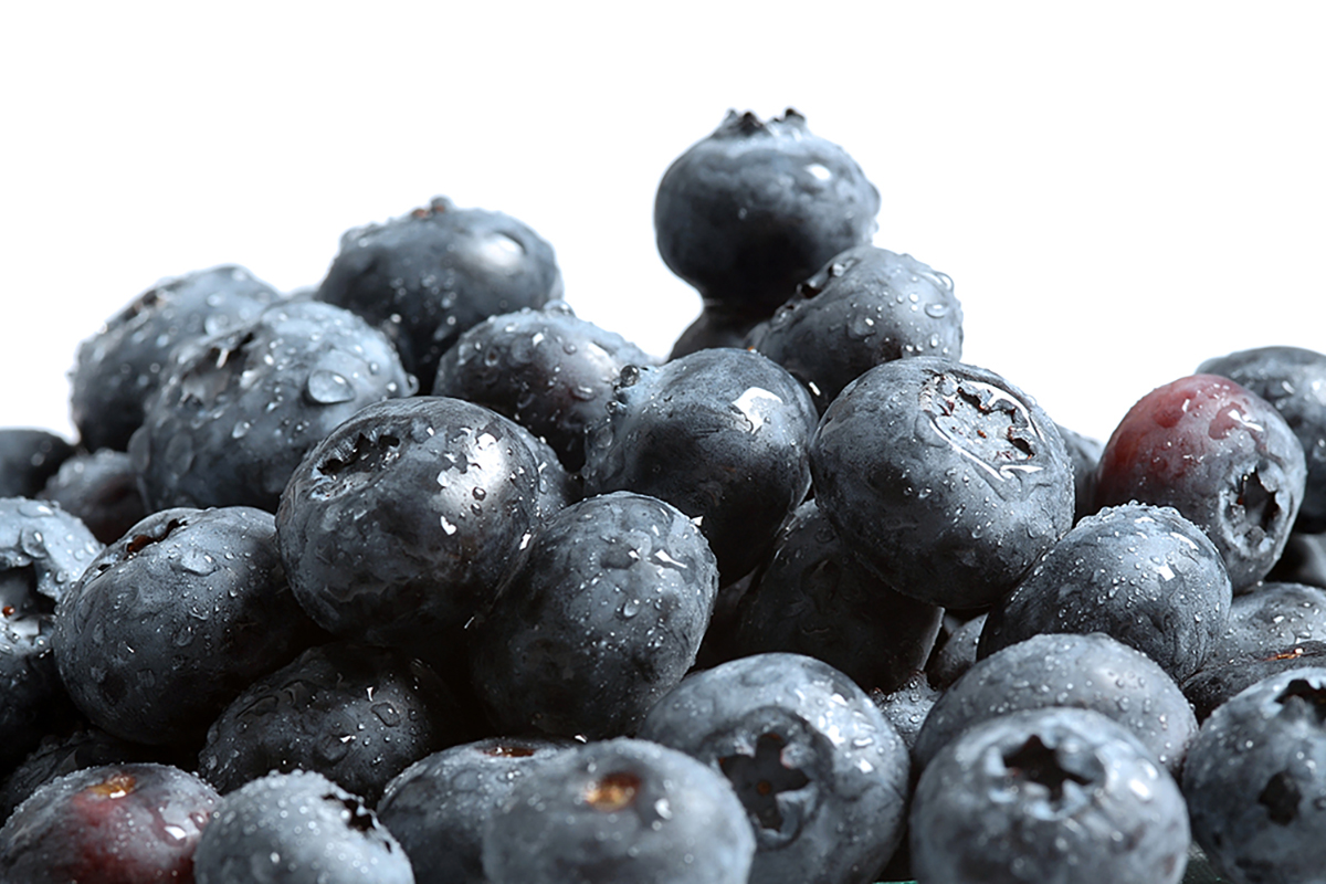 Rising costs and climate challenges for blueberry growers in Prince ...