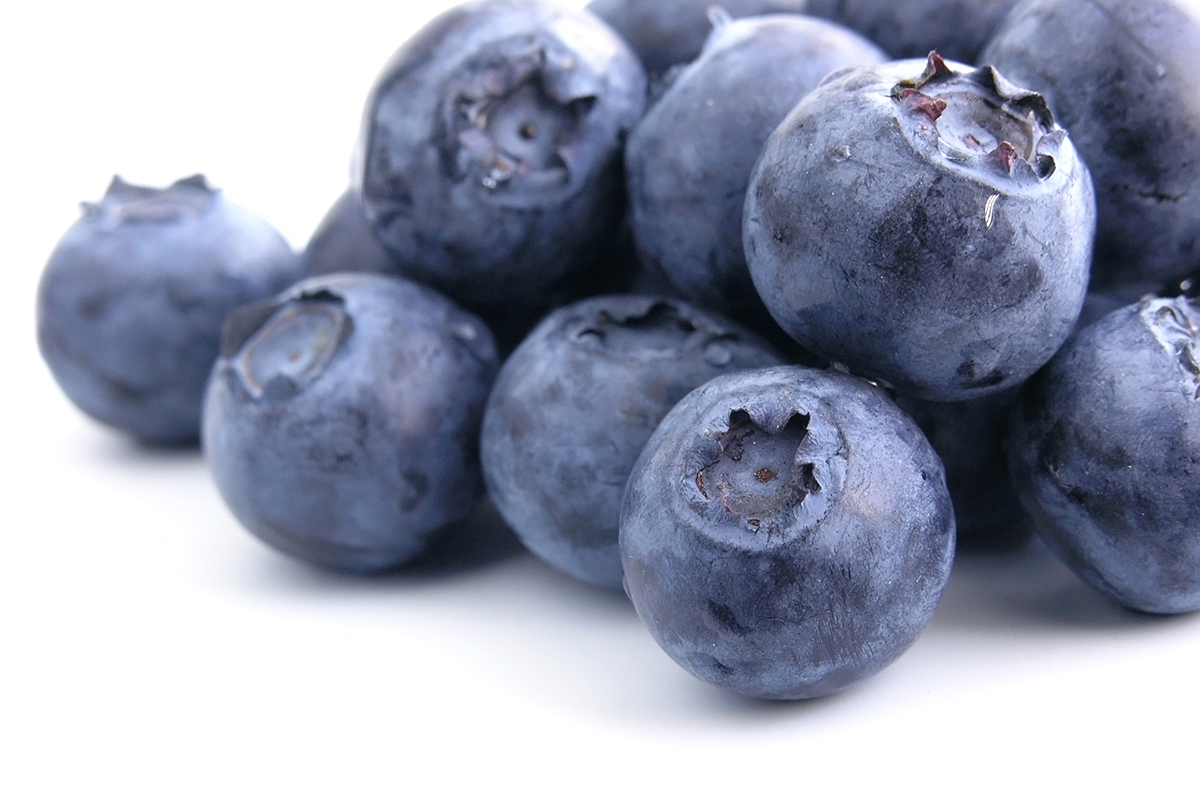 Impact of frost on Argentina's blueberry production