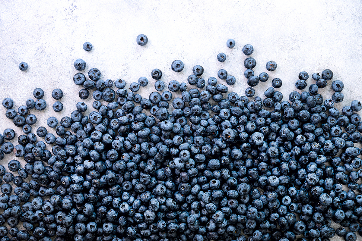 Andalusia makes up 32% of Europe's blueberry production