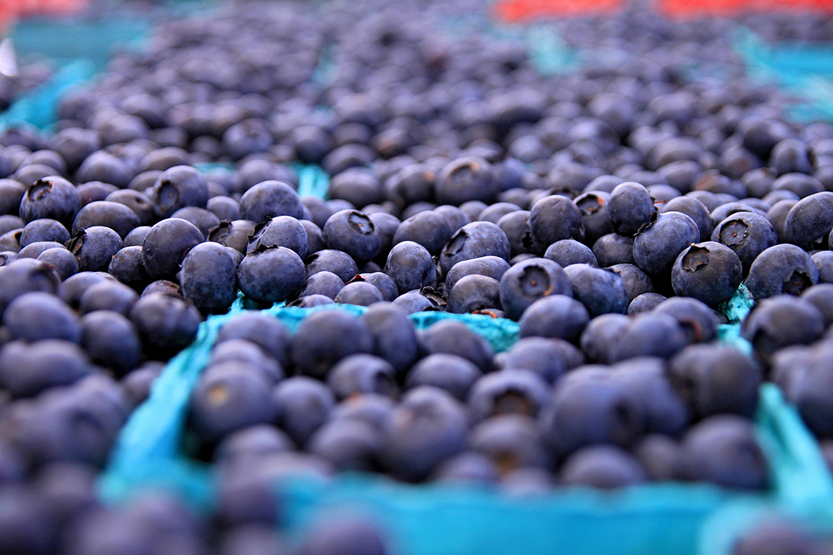 Peru faces complex 2025-26 blueberry season