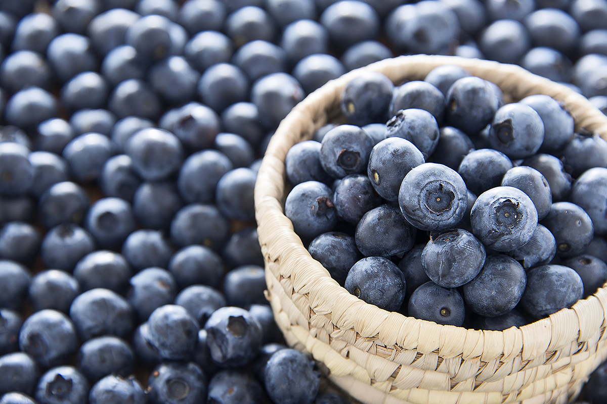 Peruvian blueberry exports up 53% in 2024/2025 with extended harvest