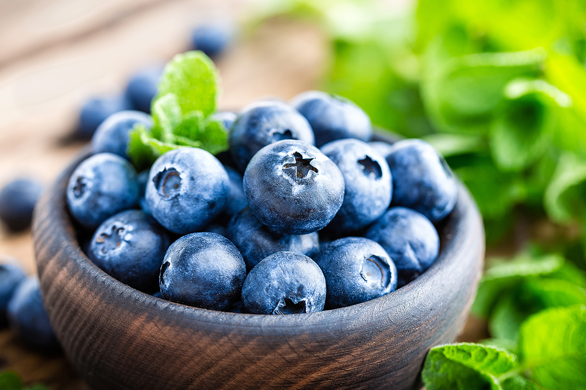 Peruvian blueberry exports hit record $2.1 billion, driven by higher ...