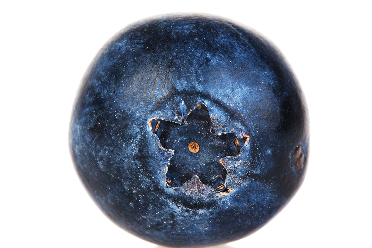 Estimates are the Peruvian blueberry season will close with a value of ...