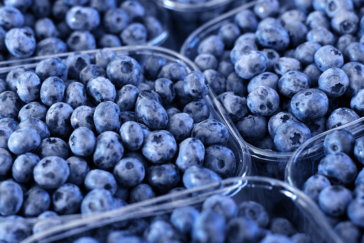 Driscoll's sweetest batch blueberries returns to Australia