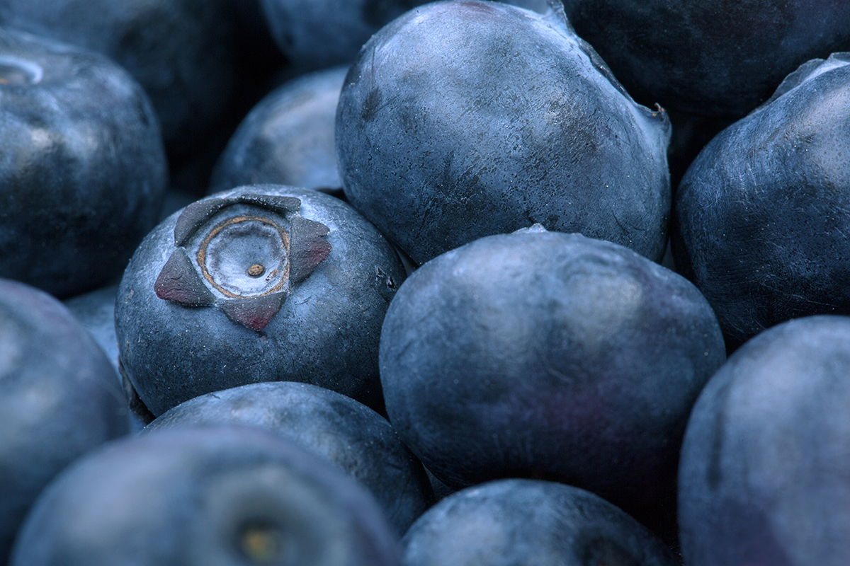 Premium Peruvian blueberries gain share with US$2.28/kg price gap