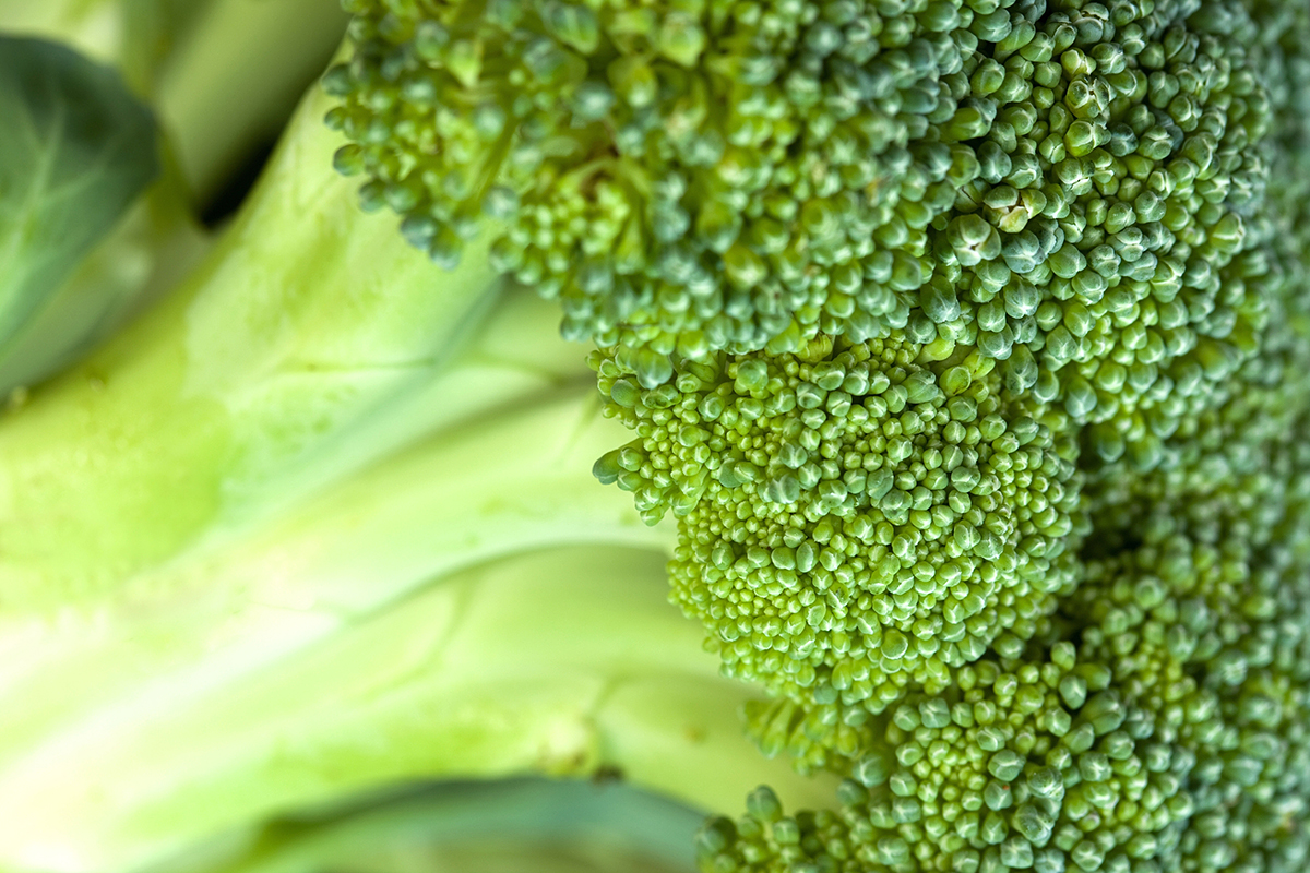 Broccoli im Bio-Segment deutlich stärker nachgefragt als Blumenkohl