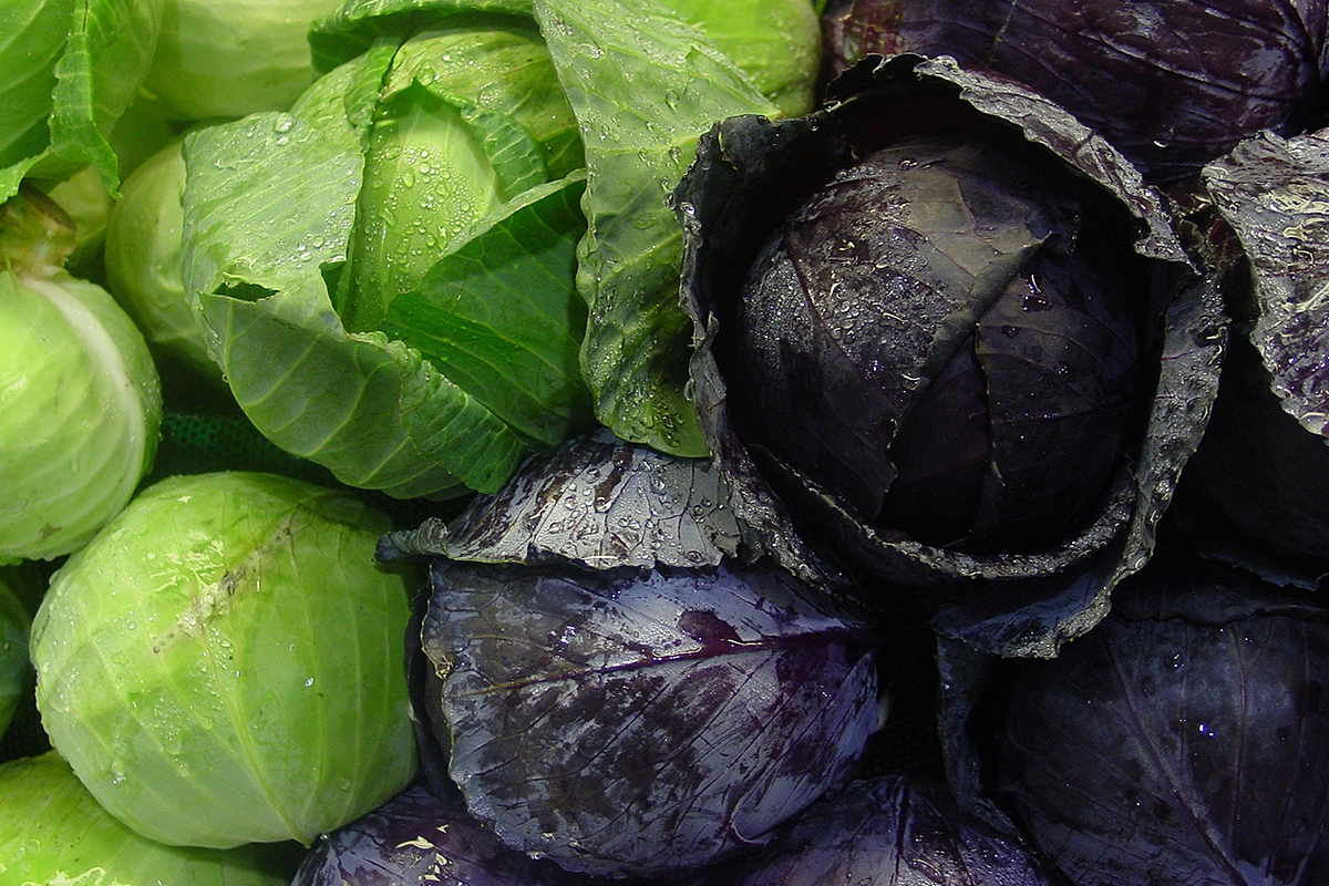 Georgia sees 70-fold surge in cabbage imports from Iran in 2025